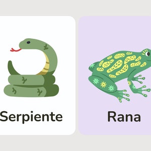 Spanish Animal Flashcards | Teach Kids Spanish | Español Learning ...