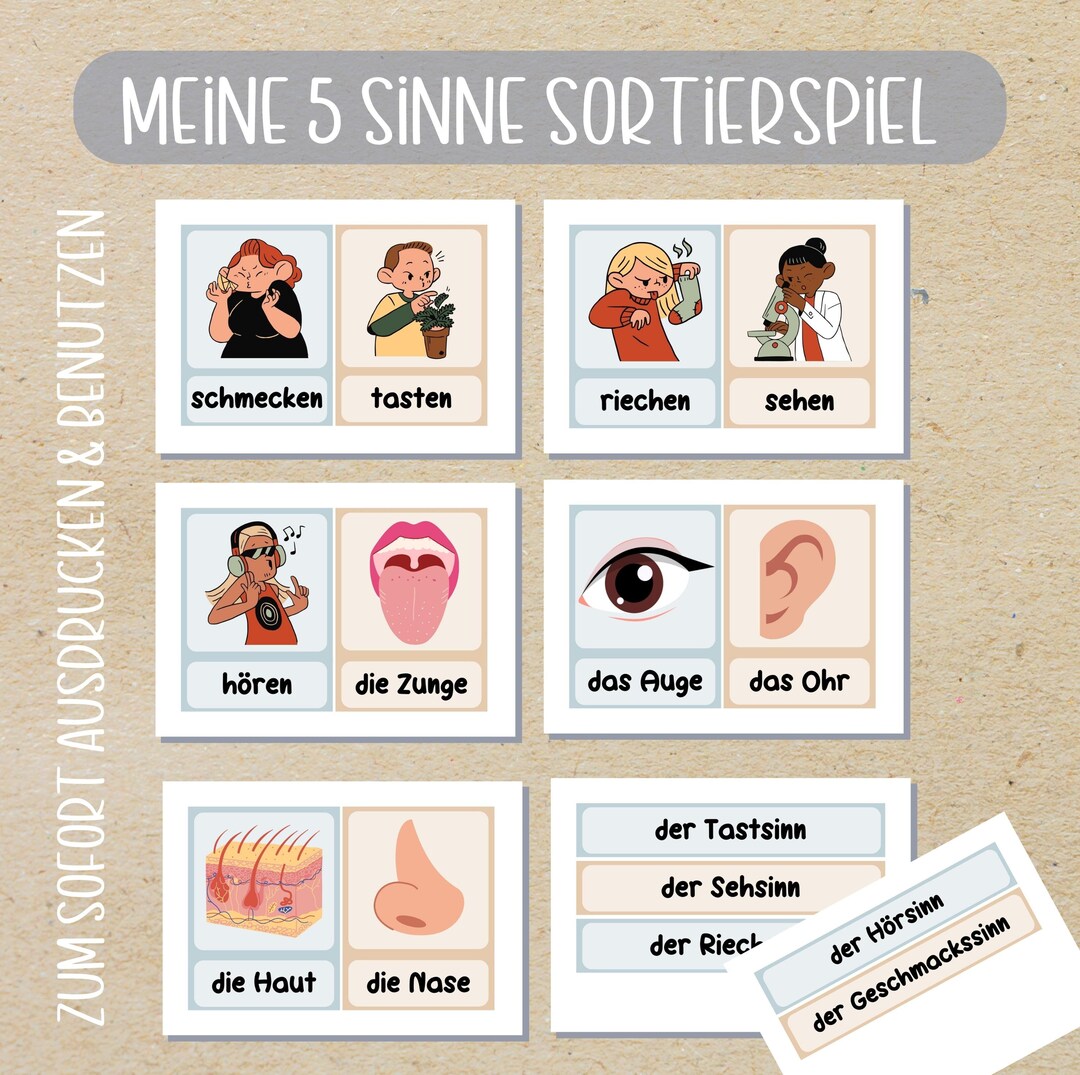 My 5 Senses Flashcards Sorting Game for Montessori Flashcards - Etsy Canada