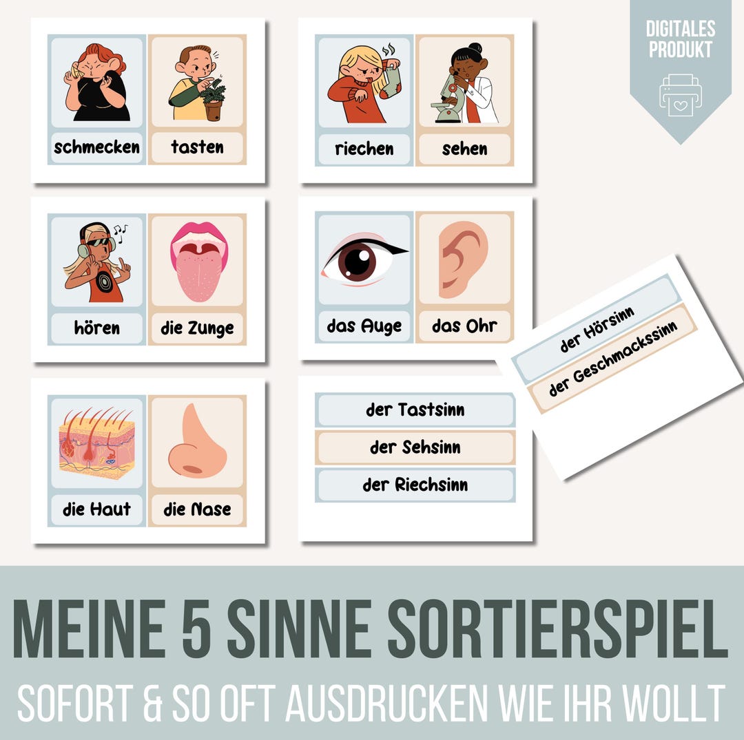 My 5 Senses Flashcards Preschool Templates Educator Templates ...