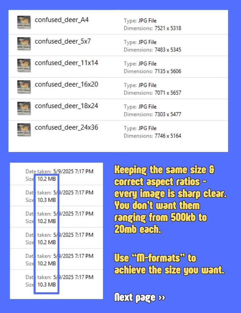 Image Resizer for Photoshop - Bulk Photo Resizer Software Sript Tool - Etsy