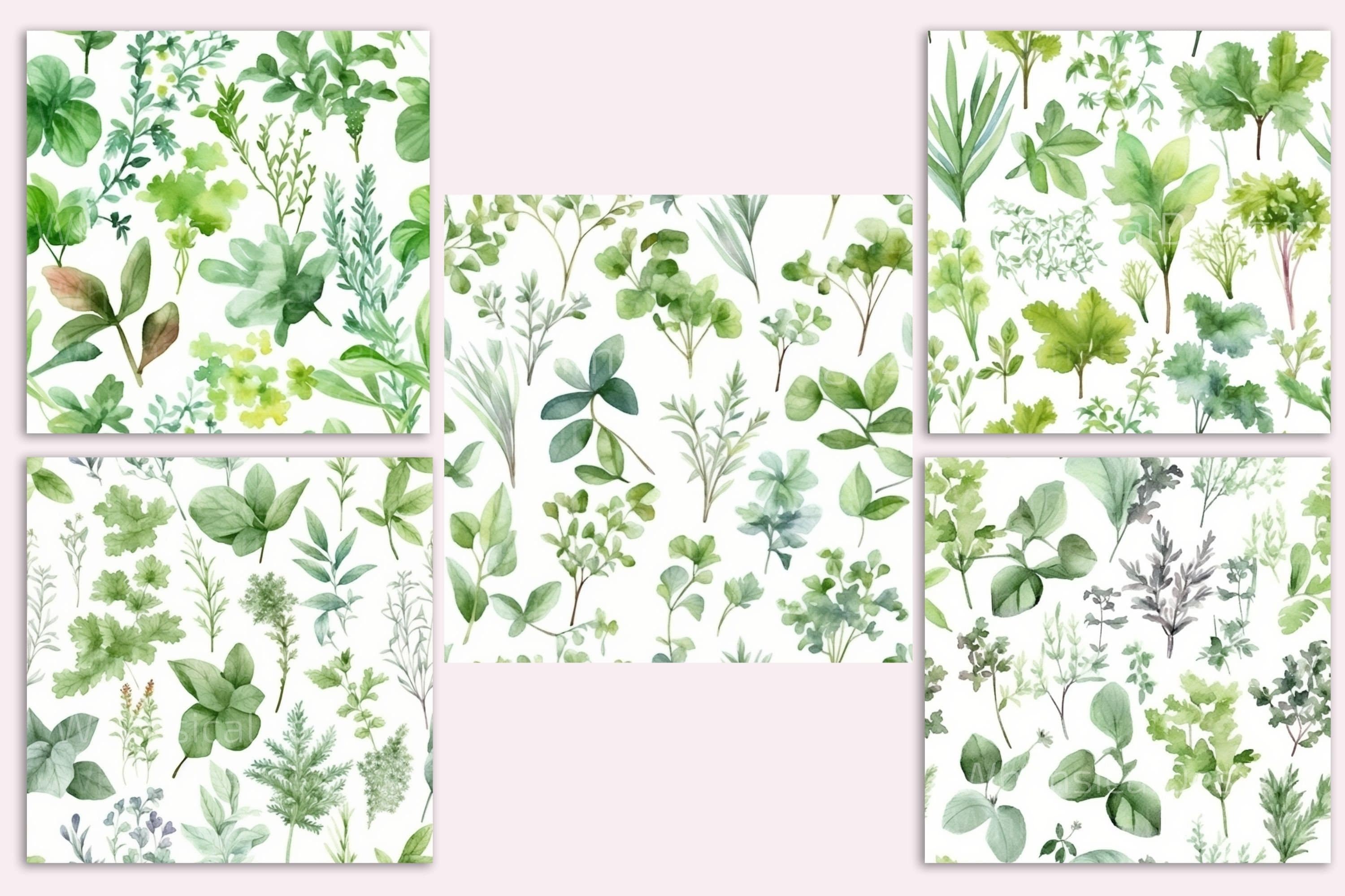 20 Watercolor Herbs Seamless Pattern, Digital Paper Pack, Fresh Herbs ...