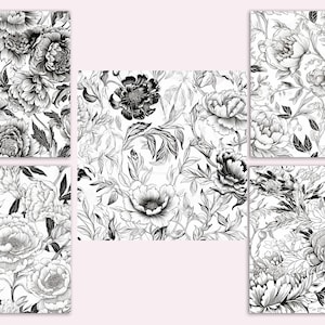 20 Black and White Peonies Seamless Pattern, Digital Paper Pack, Floral ...