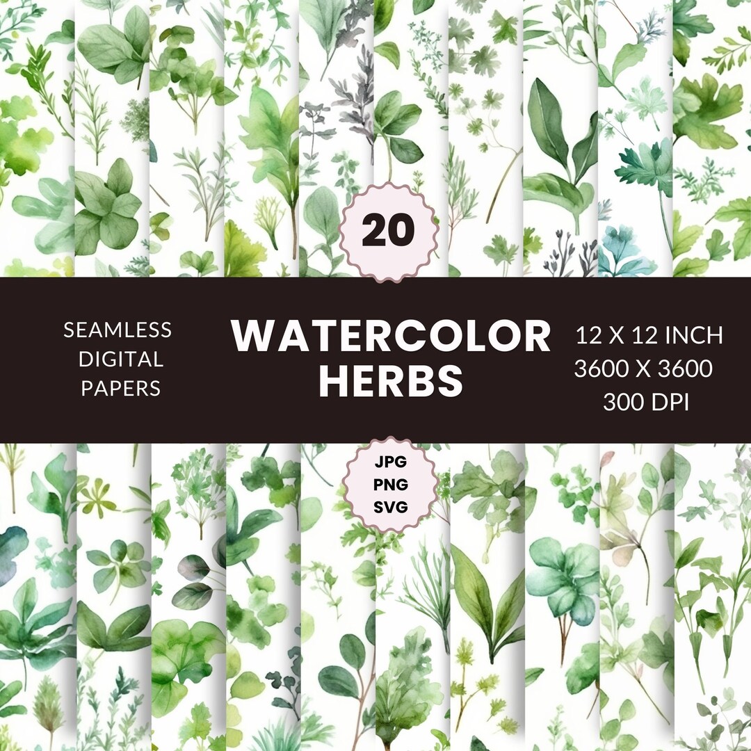 20 Watercolor Herbs Seamless Pattern, Digital Paper Pack, Fresh Herbs ...