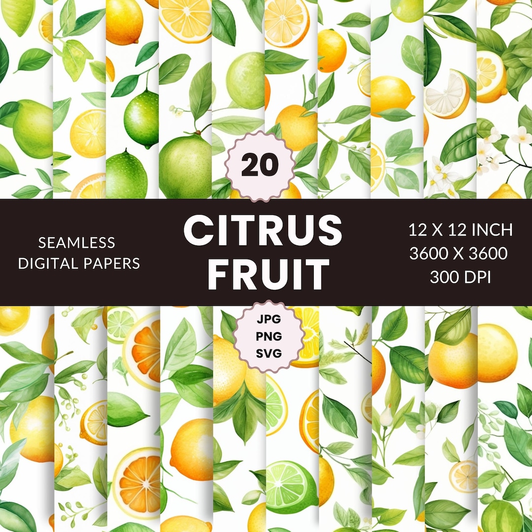 20 Citrus Fruit Seamless Pattern, Digital Paper Pack, Fruit, Lemon ...