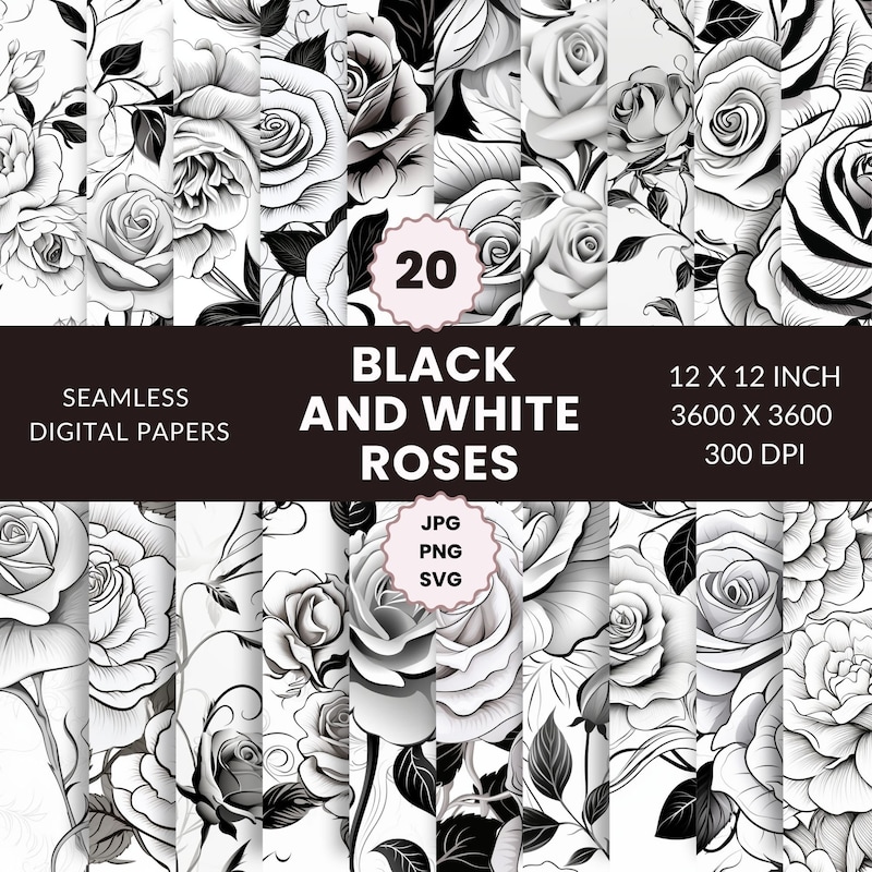 White Rose - Etsy