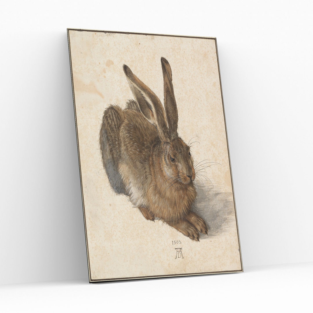 Albrecht Dürer Young Hare 1502 Canvas Wall Art Feldhase Canvas Print ...