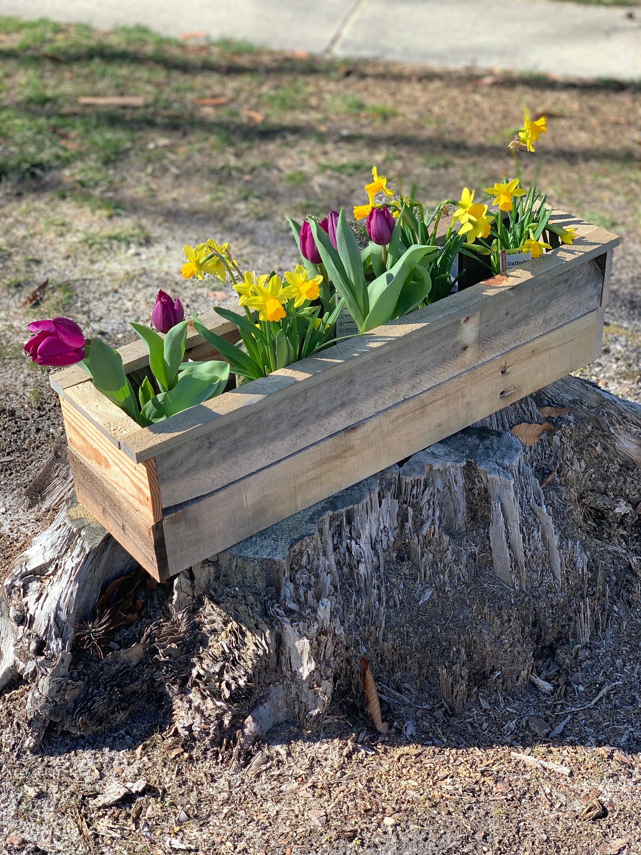 Farmhouse Wedding Centerpiece Decor - Rustic Wooden Planter Box (5-5.75 ...