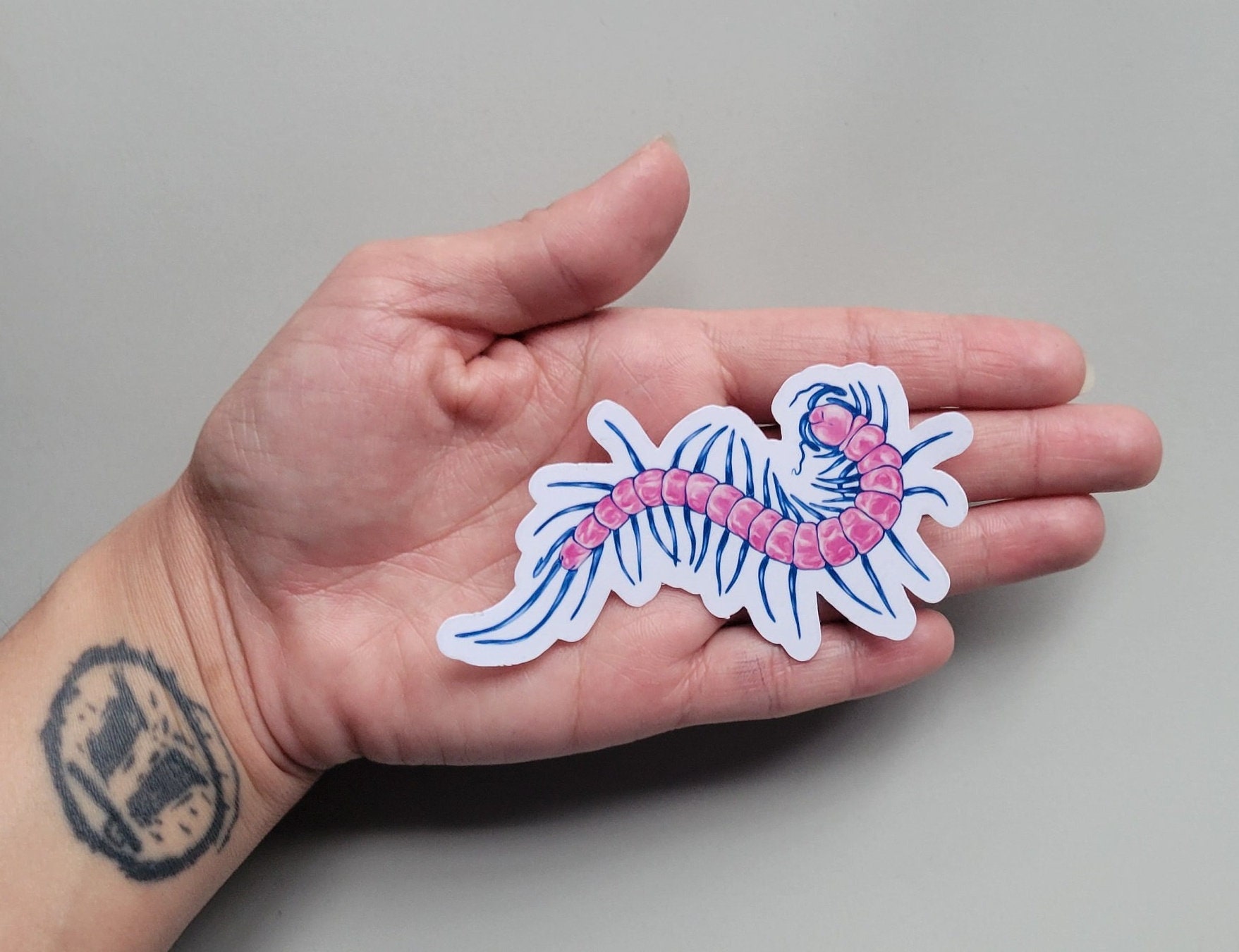 Centipede 3 Vinyl Sticker by Rebecca Larios - Etsy