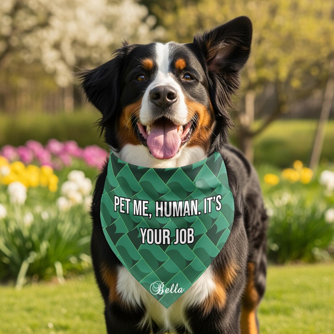 Personalized Pet Bandana Collar: Custom Name, Funny Dog Gift - Etsy