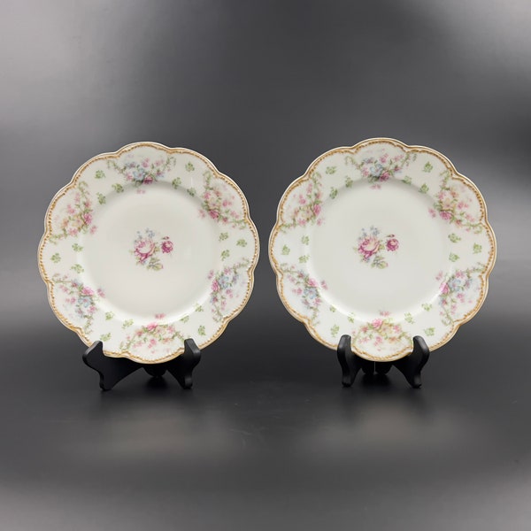 Antique Dinner Plates 1800s - Etsy