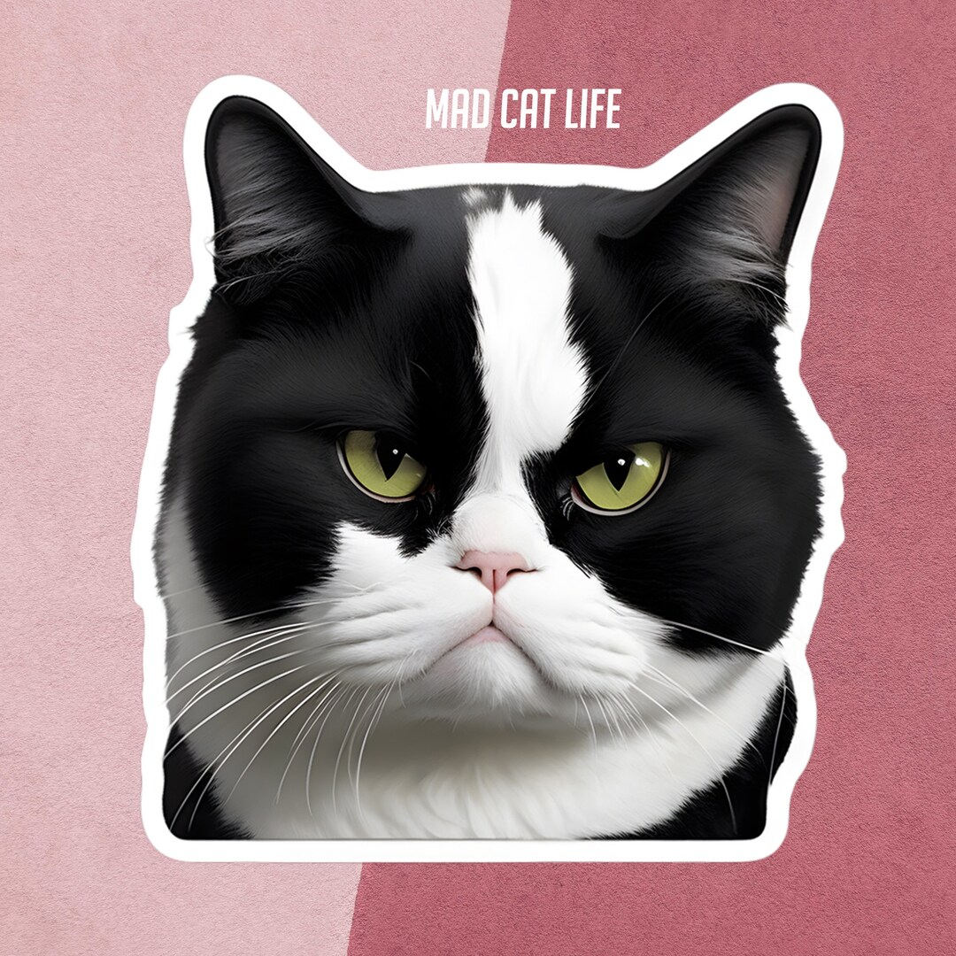 Mad Cat Clipart, 6 Designs, Printable, Cat PNG Clipart, Commercial Use ...