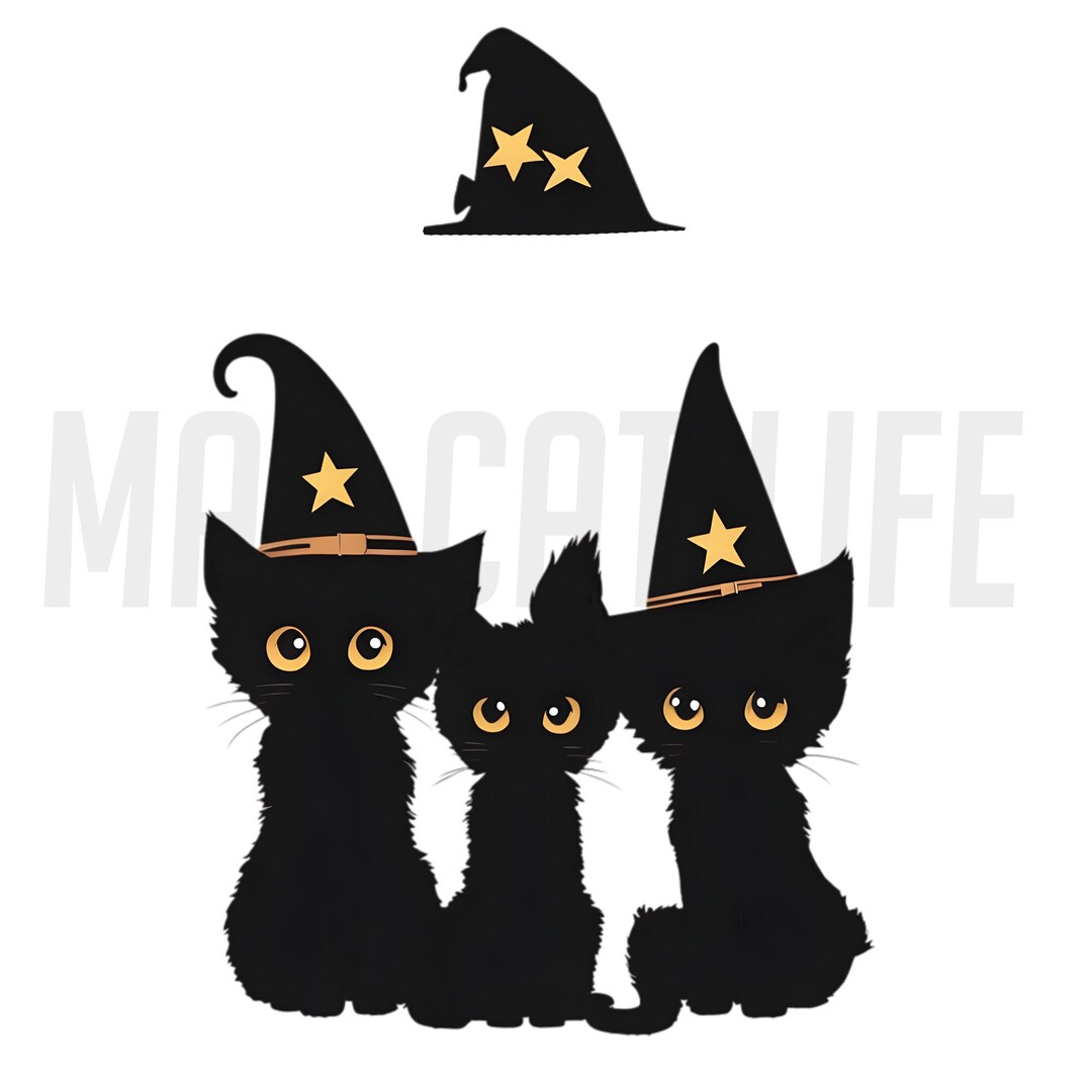 Witch Cat Halloween Png Black Cat Halloween Cat Clipart Printable