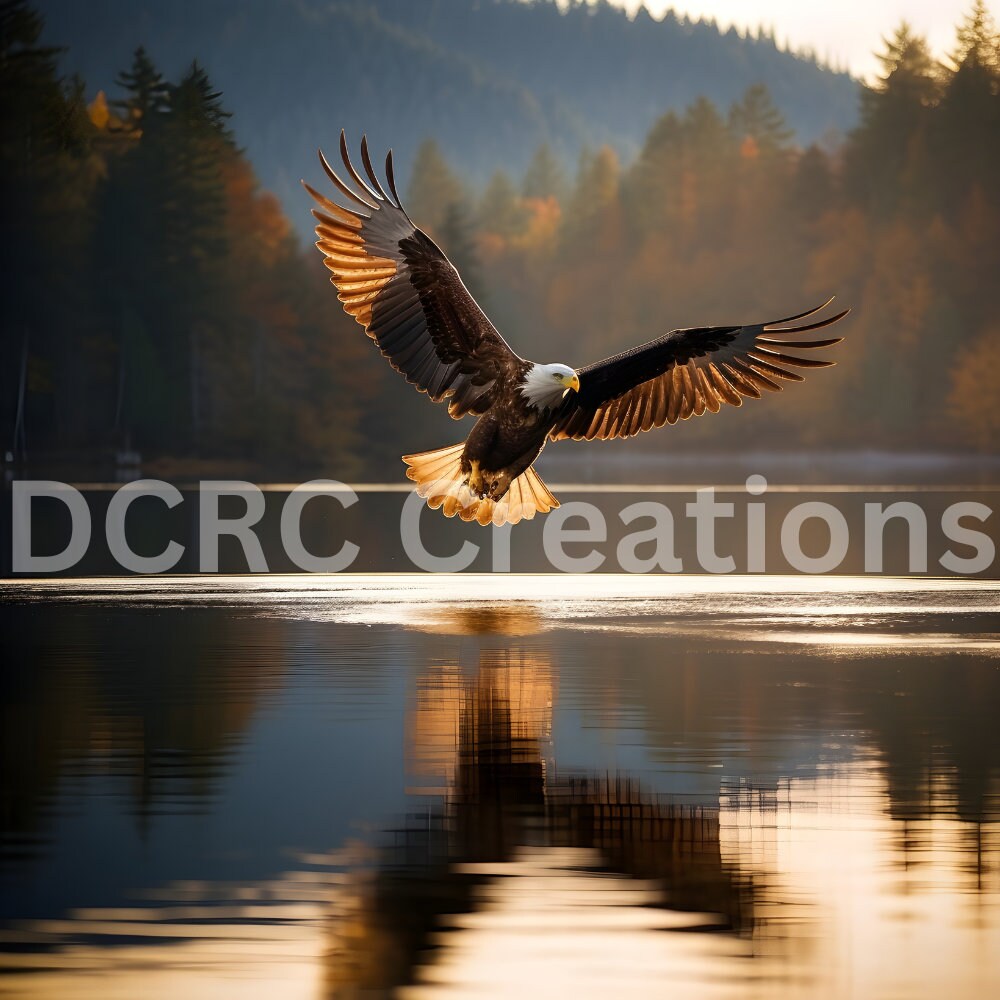 Stunning Flying Eagle Over a Calm Lake Print/nature Photography Print ...
