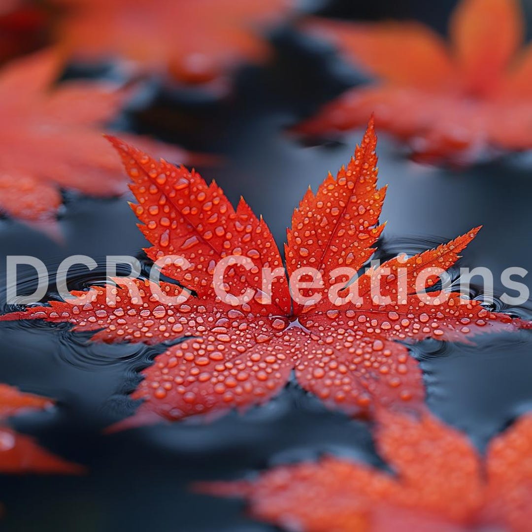 Red Fall Leaf Water Photography Print/fall Decorative Print/red Maple ...