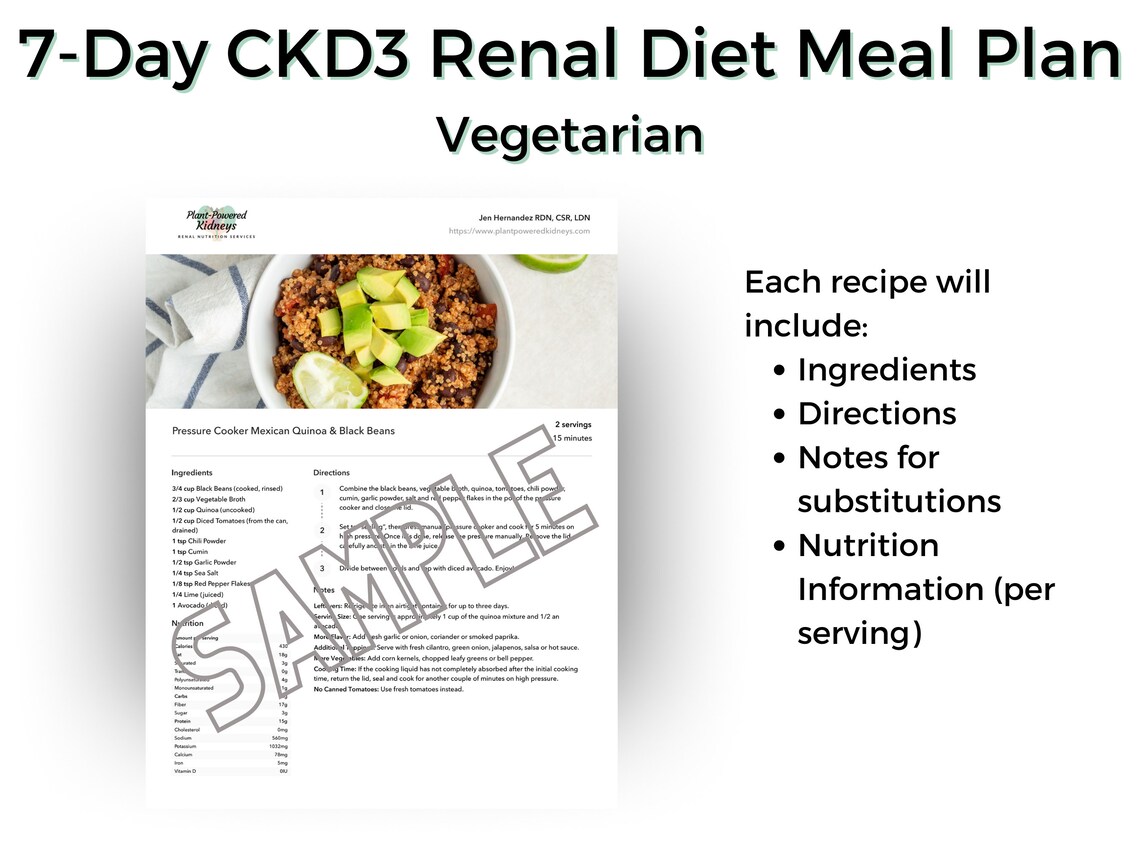 CKD3 Vegetarian Renal Diet Meal Plan (7 Days) + Grocery List - Etsy