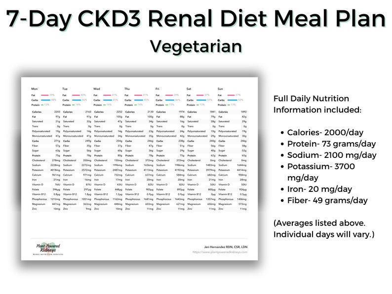 CKD3 Vegetarian Renal Diet Meal Plan (7 Days) + Grocery List - Etsy