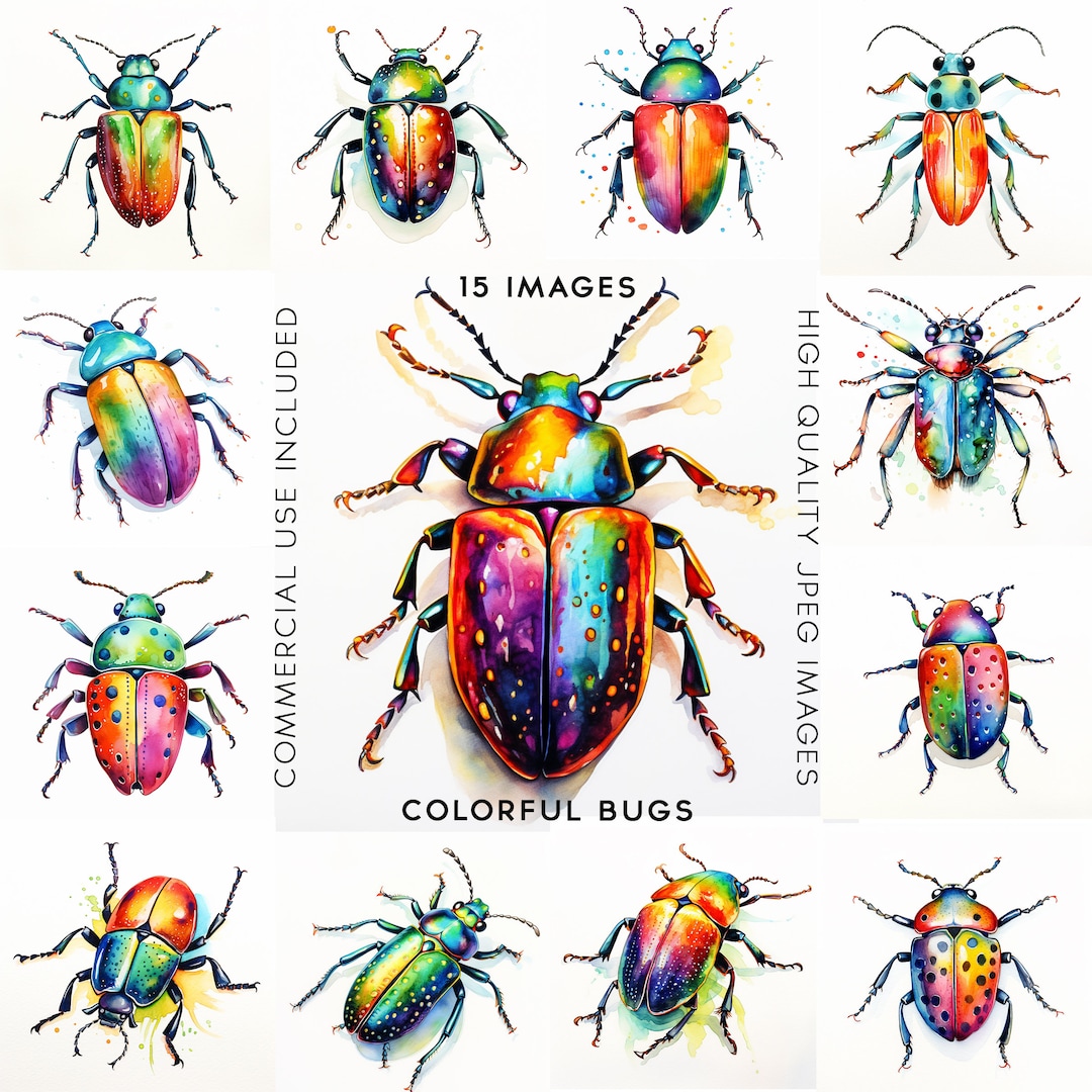 Colorful Bugs Clipart Watercolor Insect Clipart Bug Clip Art ...