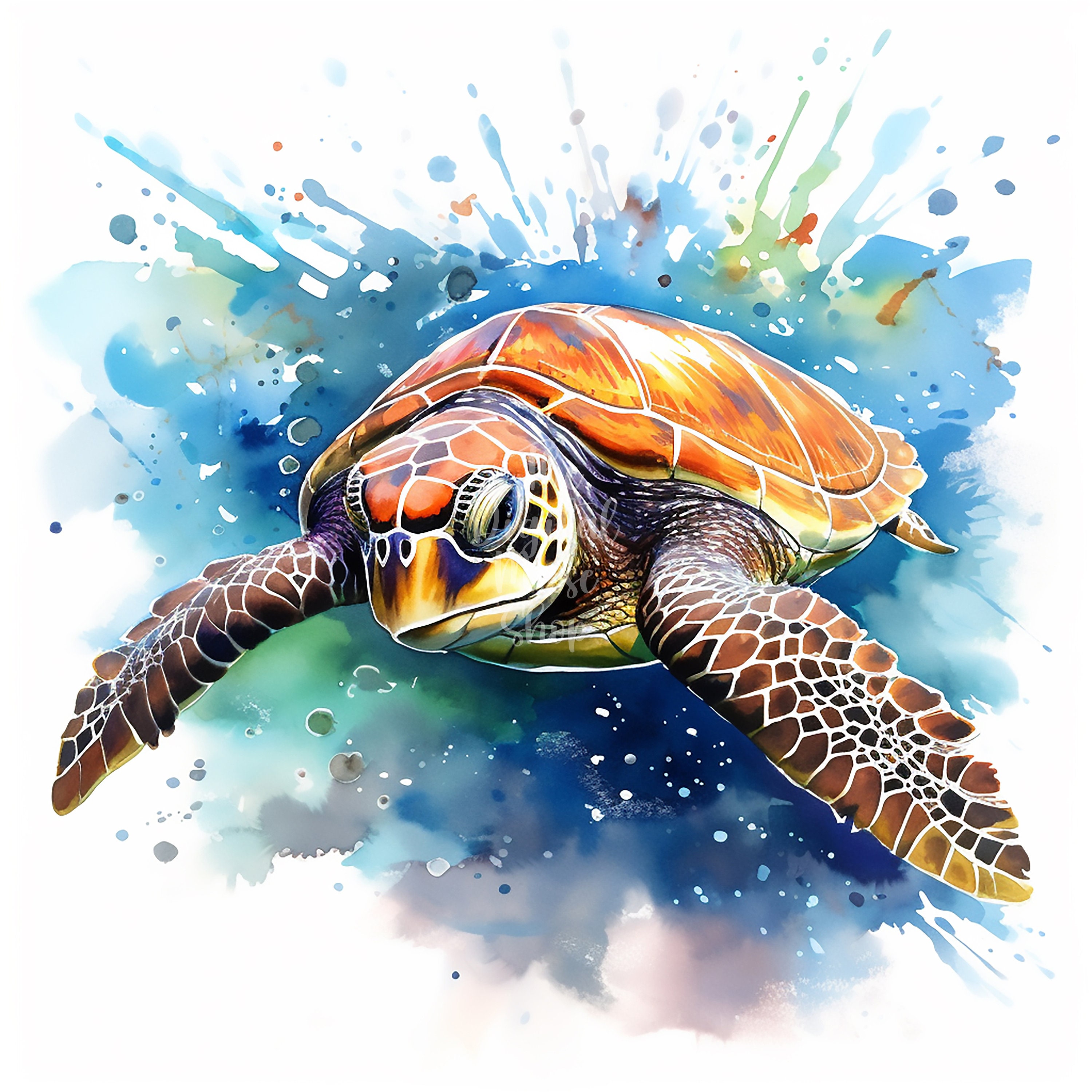 Watercolor Sea Turtle Clipart, 12 High Quality JPG, Commercial Use ...