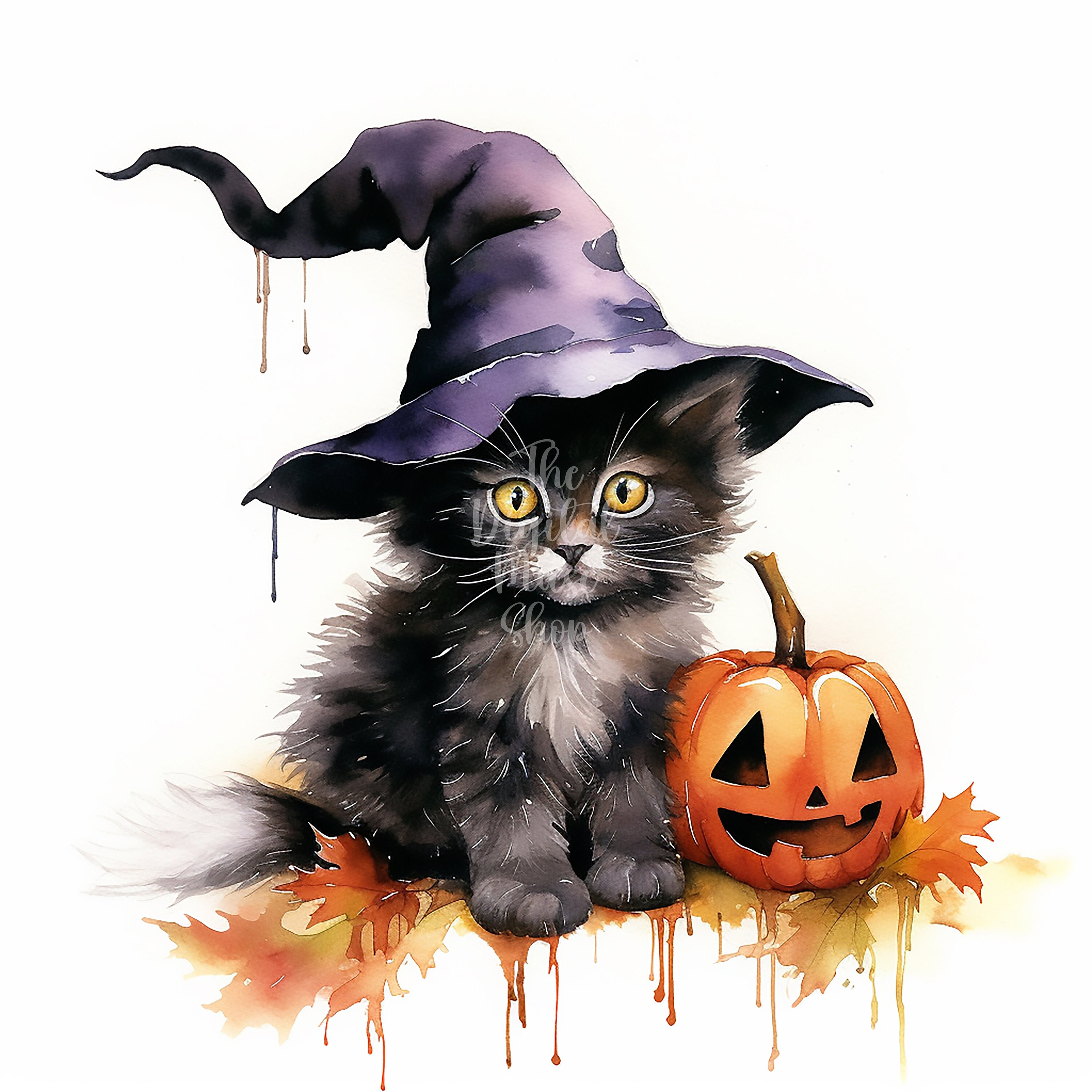 Halloween Witch Cat Clipart 12 High Quality Jpgs Watercolor - Etsy