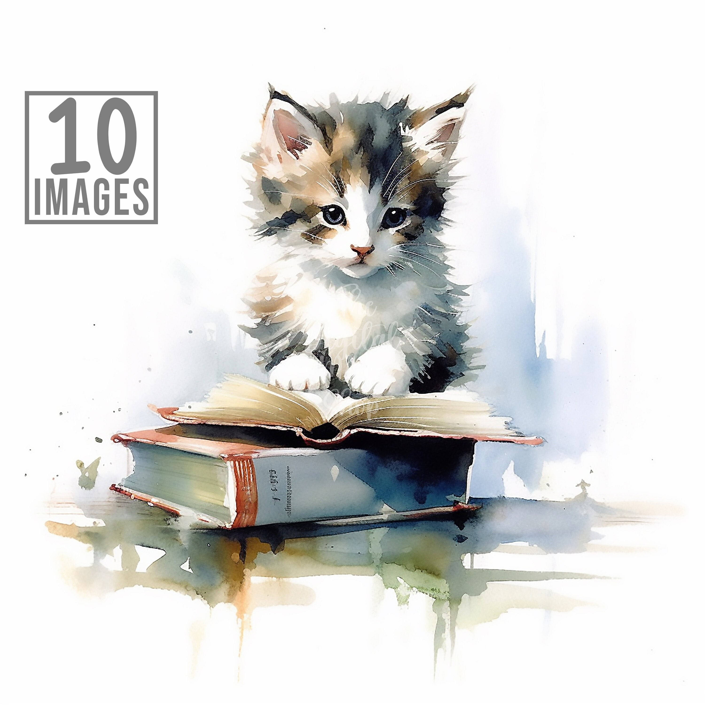 Kitten and Books Clipart 10 High Quality Jpgs Watercolor Clipart ...