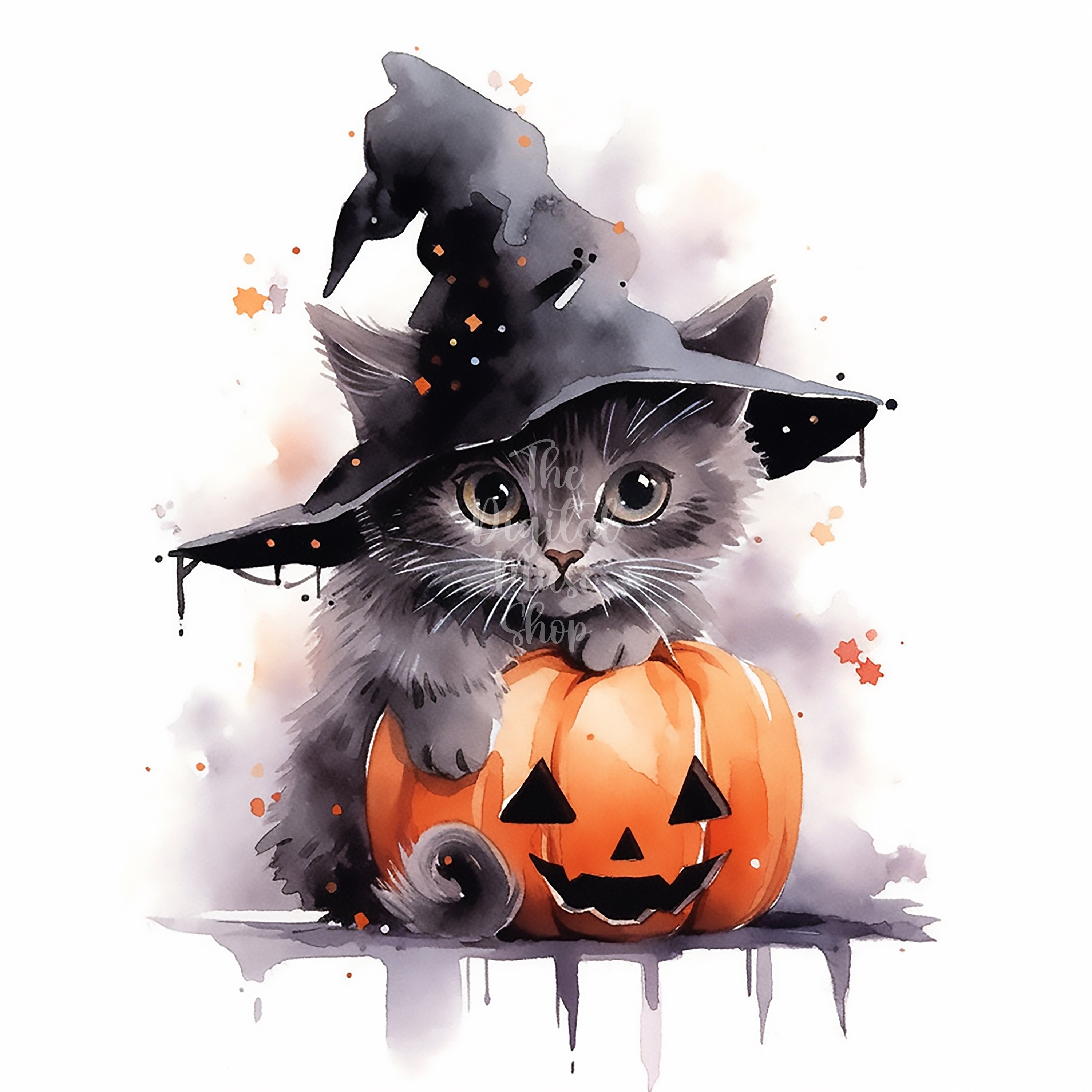 Halloween Witch Cat Clipart 12 High Quality Jpgs Watercolor - Etsy