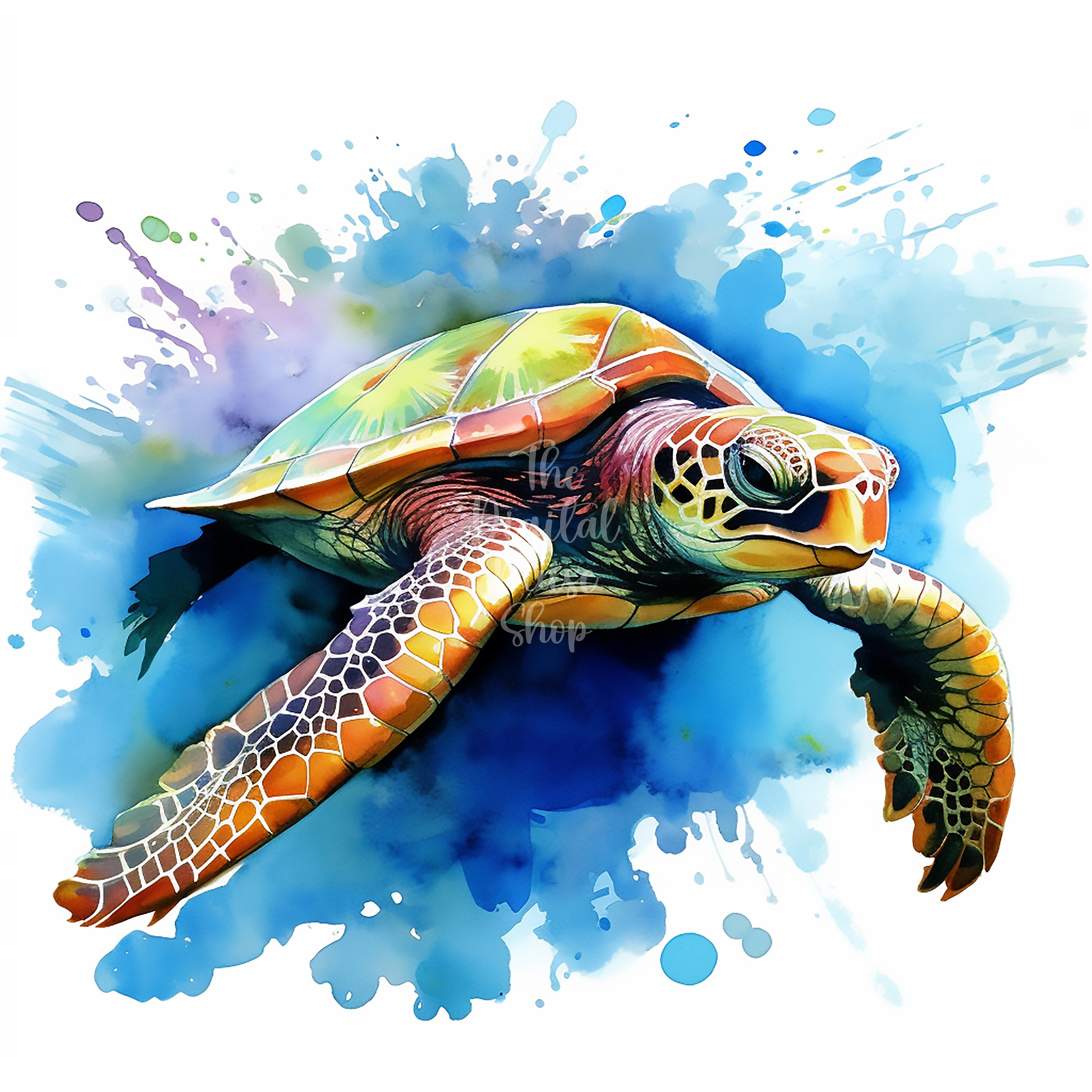 Watercolor Sea Turtle Clipart, 12 High Quality JPG, Commercial Use ...