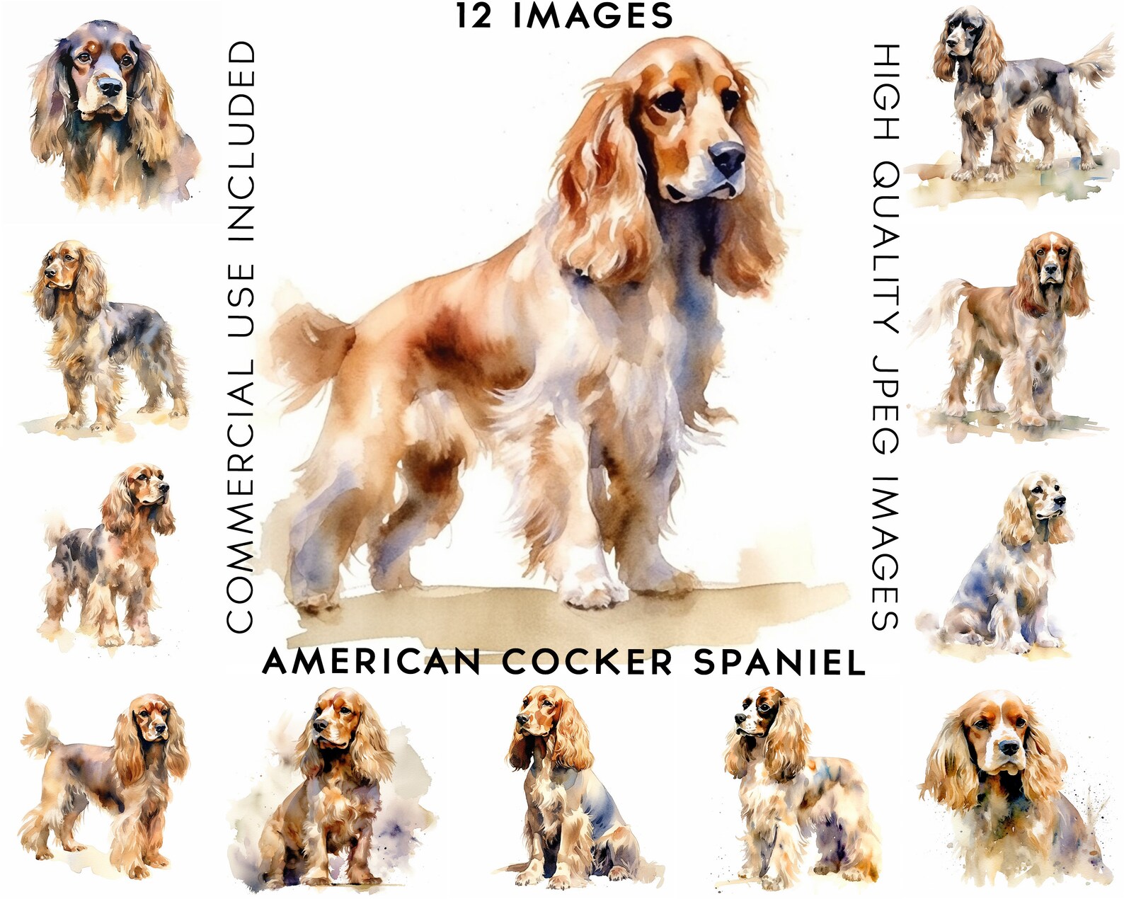 American Cocker Spaniel Clipart, 12 High Quality Jpgs, Watercolor ...