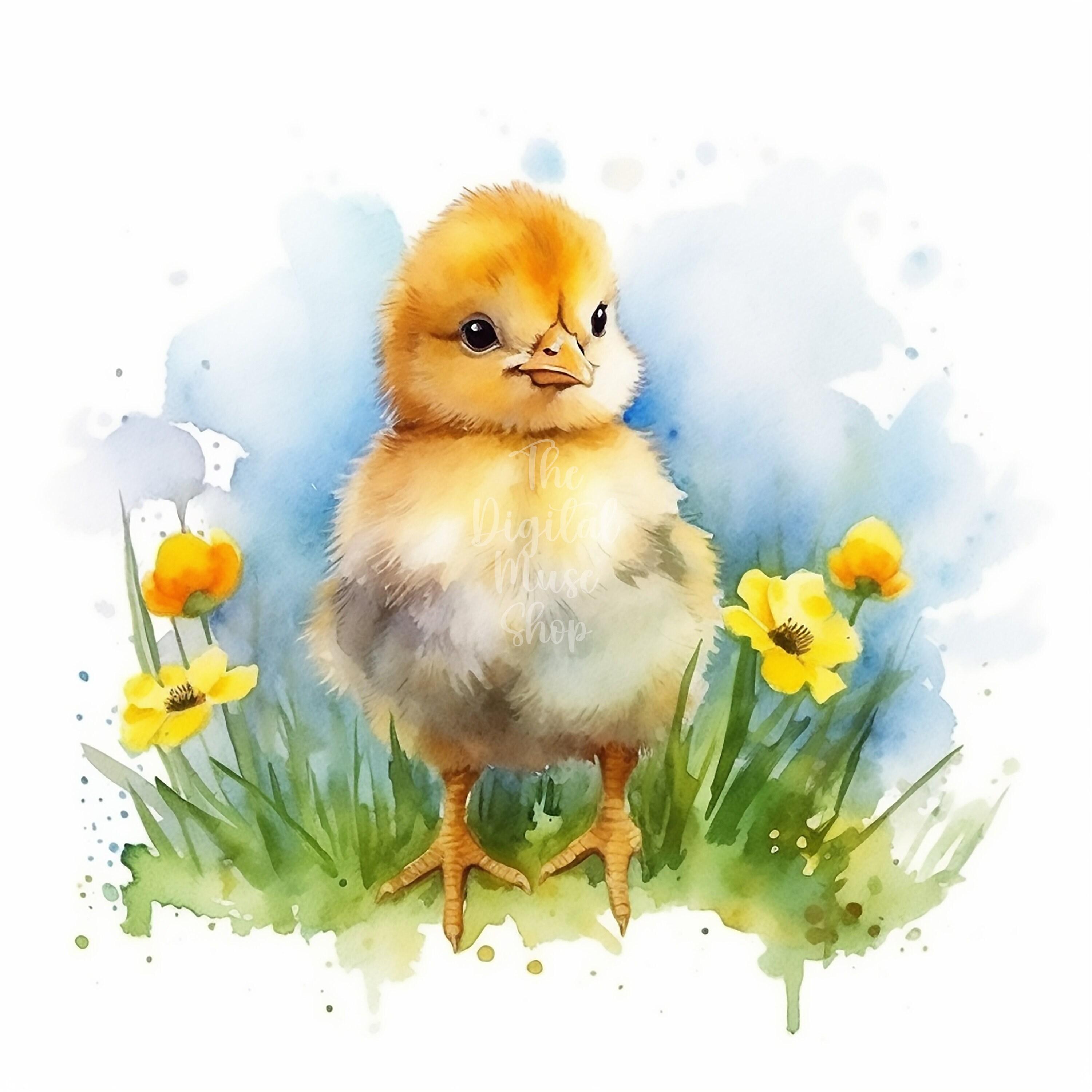 Chicks Clipart, 12 High Quality Jpgs, Watercolor Clipart, Digital ...