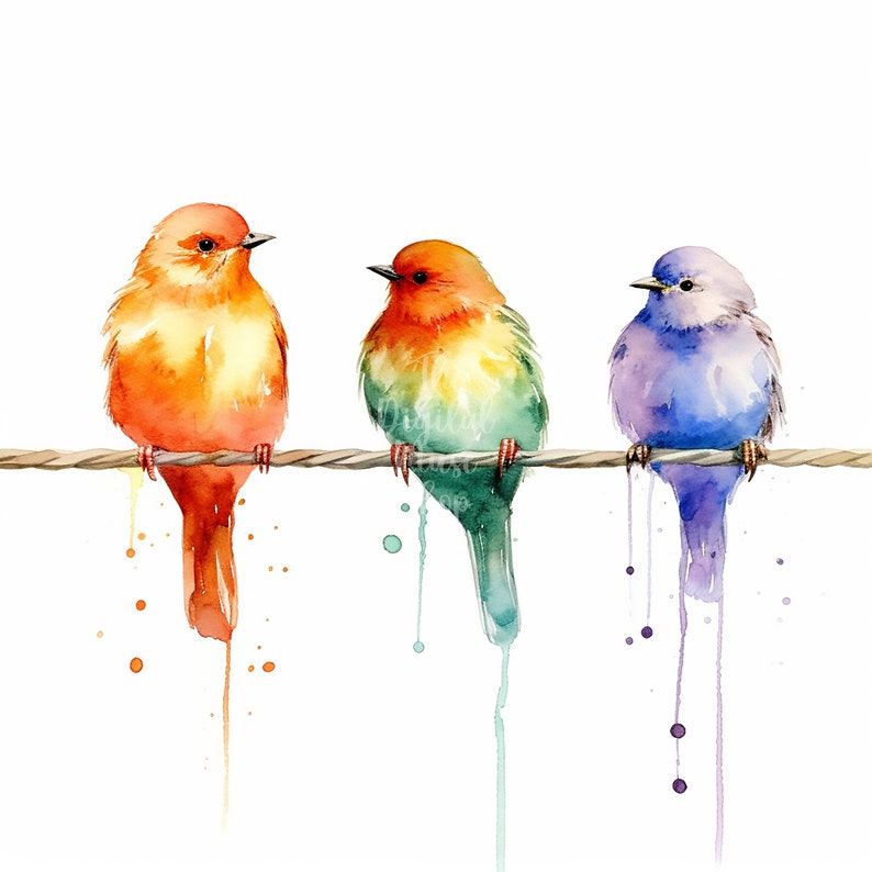 Birds on A Wire Clipart 12 High Quality Jpgs Watercolor - Etsy