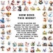 Whole Shop Bundle, Clipart Bundle Art Clipart Set Entire Shop Bundle ...