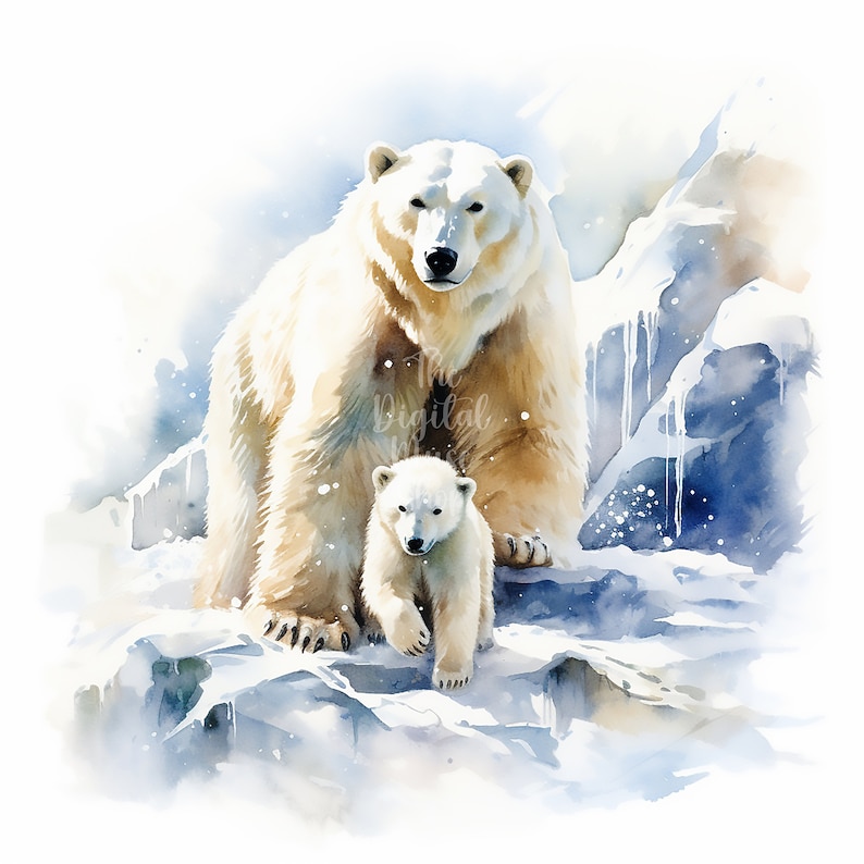 Polar Bear and Cub Clipart 12 High Quality Jpgs Watercolor - Etsy