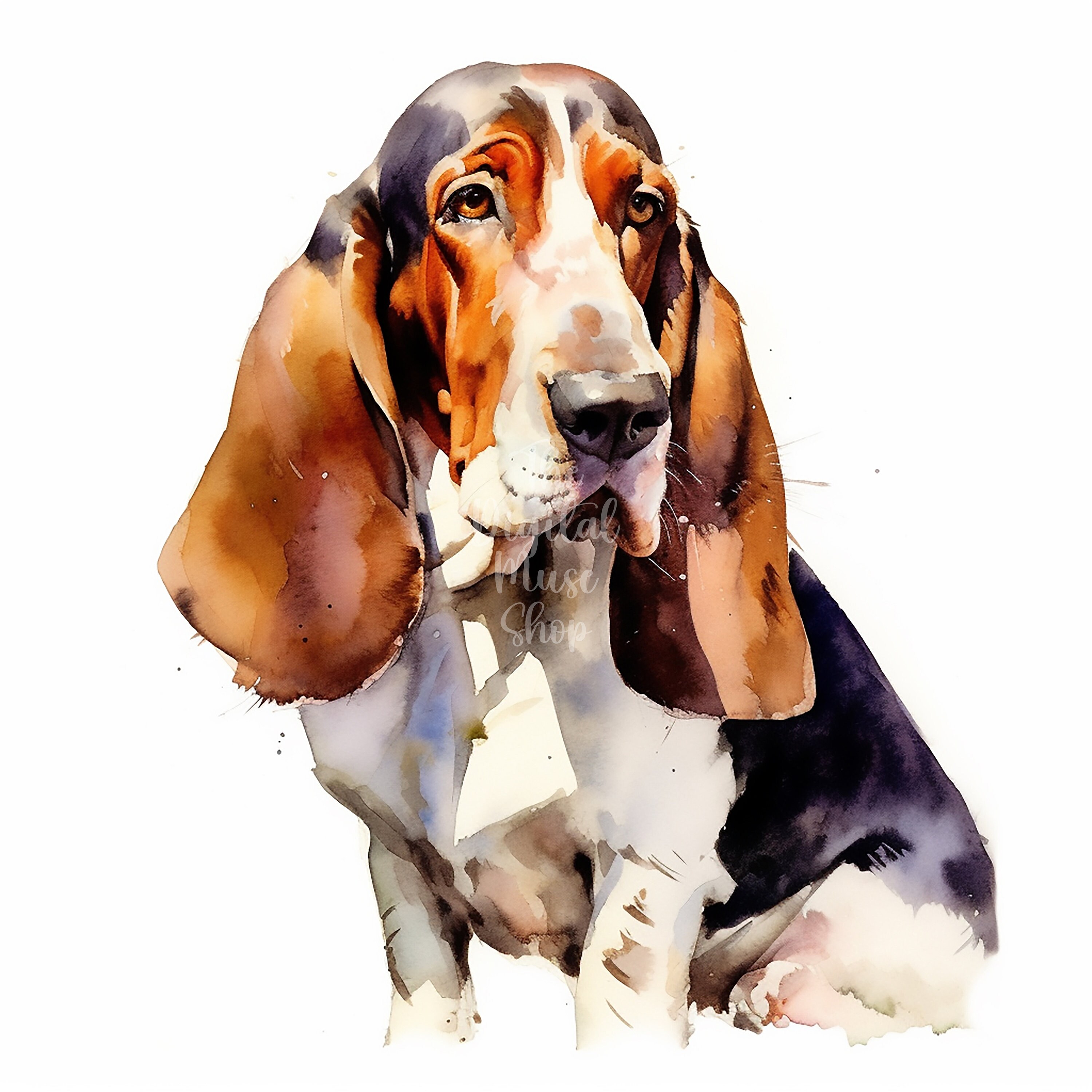 Basset Hound Clipart 12 High Quality Jpgs Watercolor - Etsy