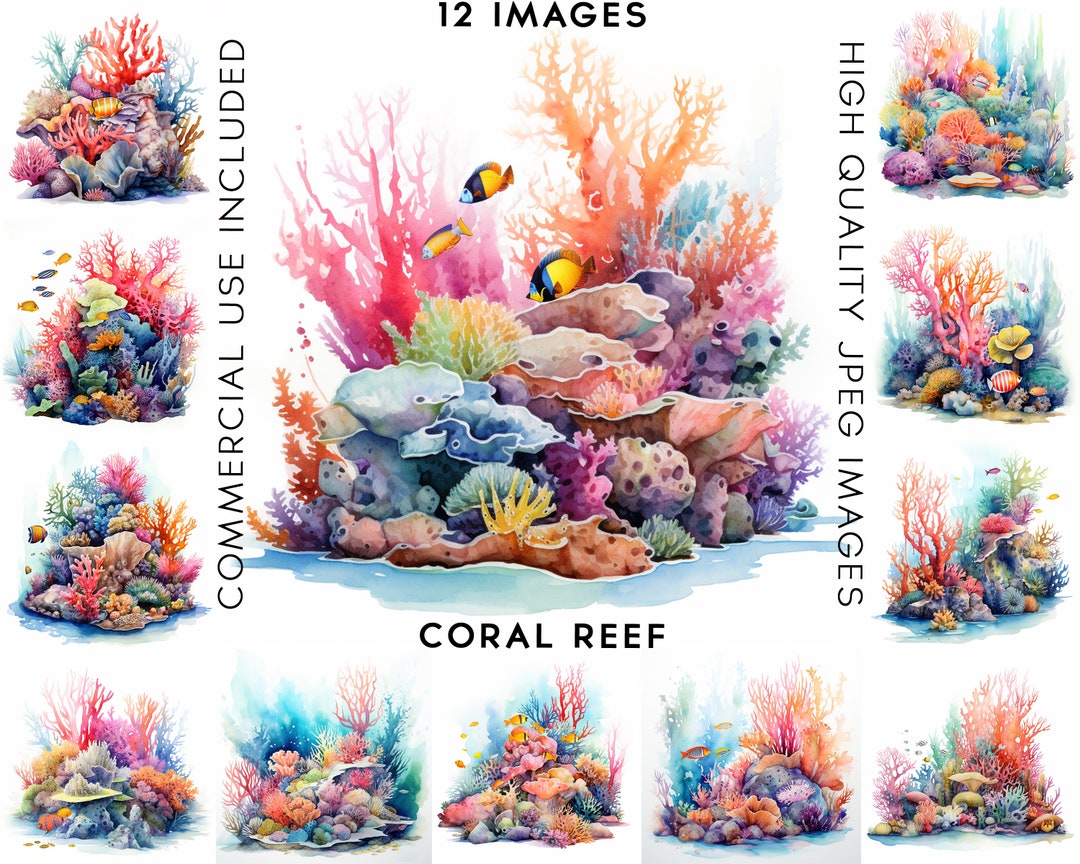 Watercolor Coral Reef Clipart, 12 High Quality Jpgs, Clip Art ...