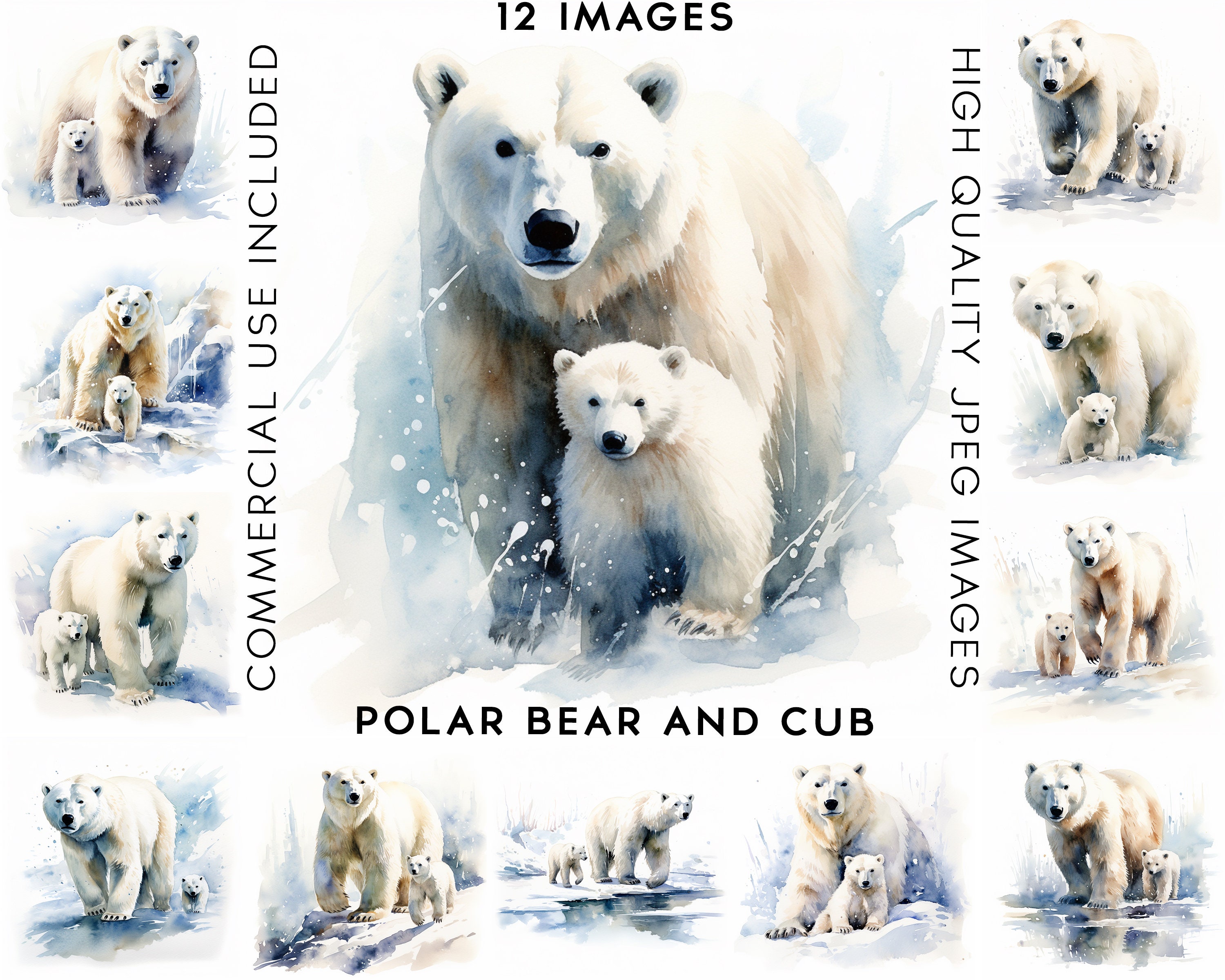 Polar Bear and Cub Clipart, 12 High Quality Jpgs, Watercolor Clipart ...
