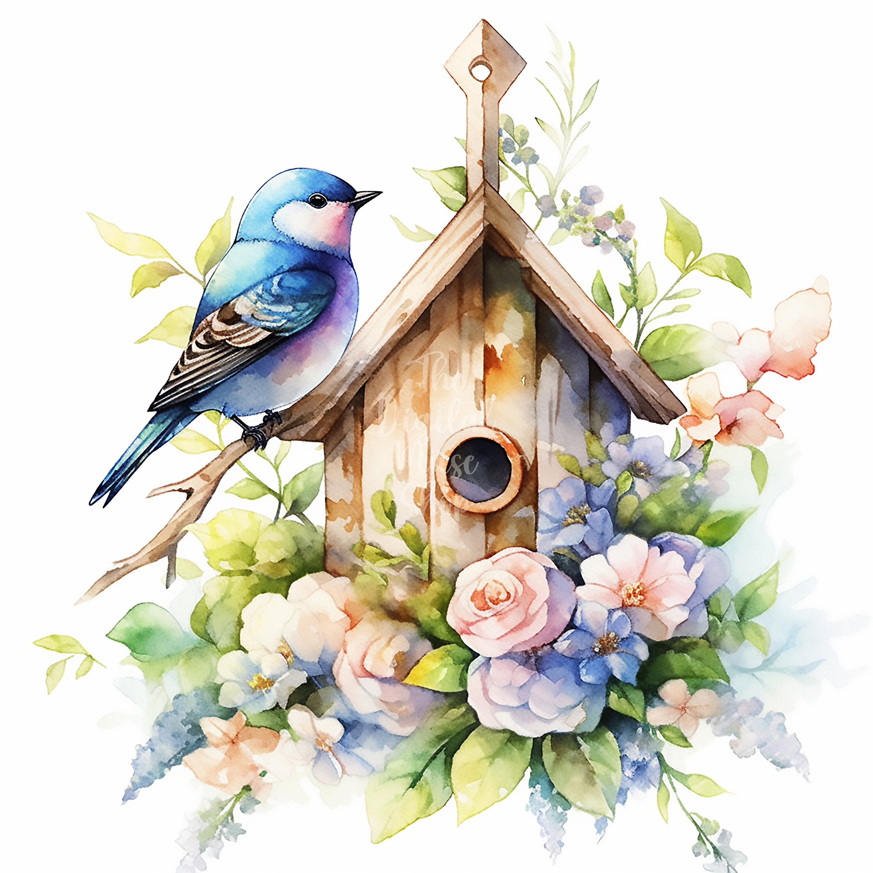 Bird House Clipart, 14 High Quality Jpgs Watercolor Clipart Birds ...