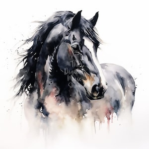 Black Horses Clipart, 12 High Quality Jpgs , Watercolor Clipart ...