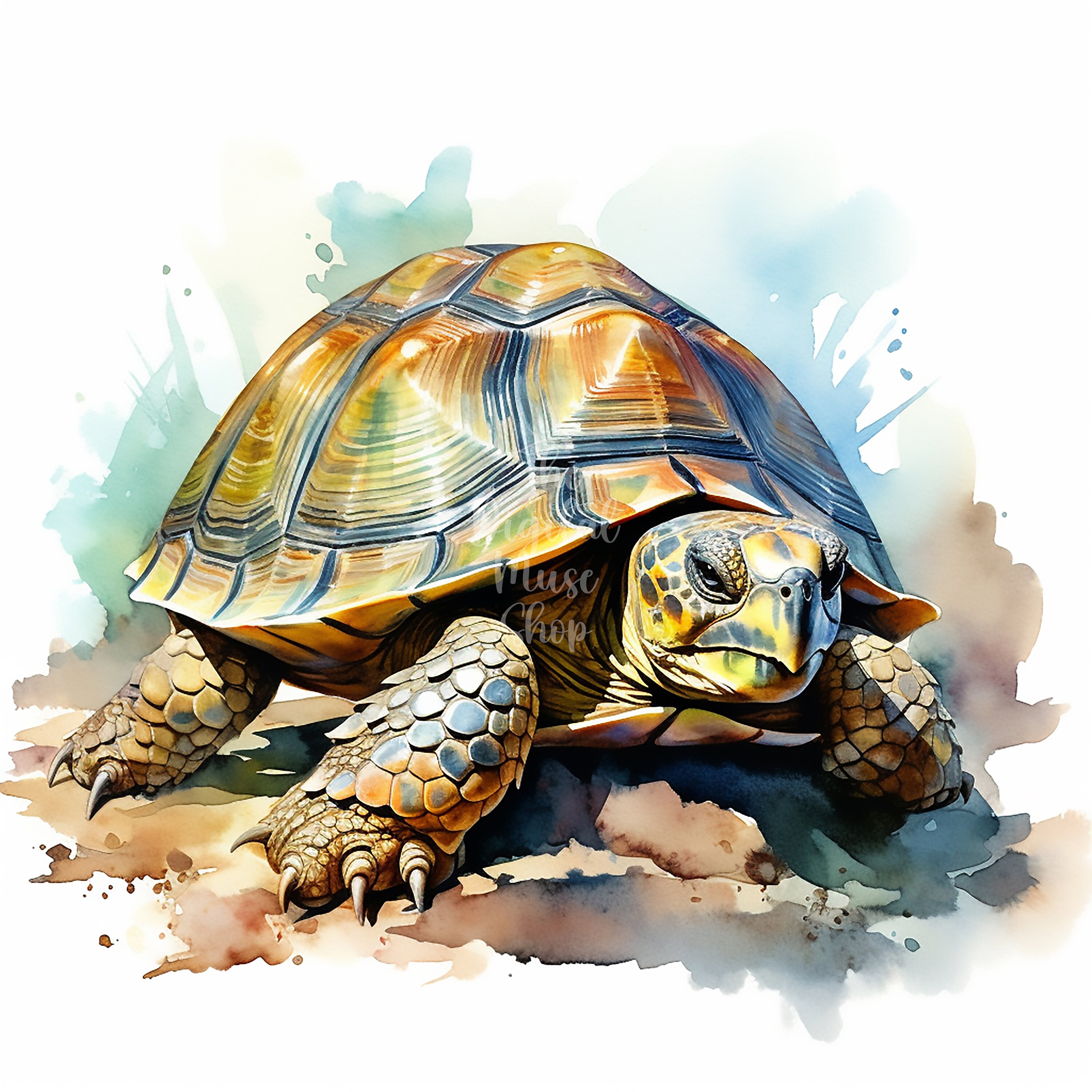 Watercolor Tortoise Clipart Digital Download Card Making Clip - Etsy