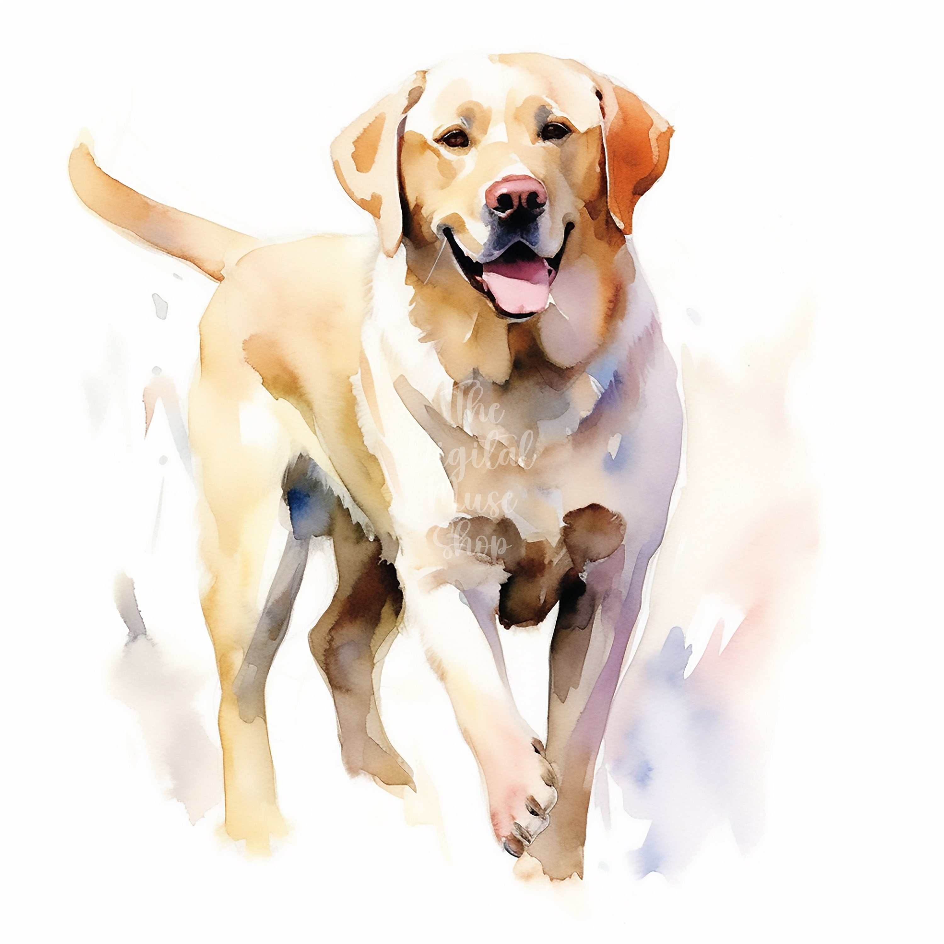 Labrador Retriever Clipart, 10 High Quality Jpgs, Watercolor Clipart ...