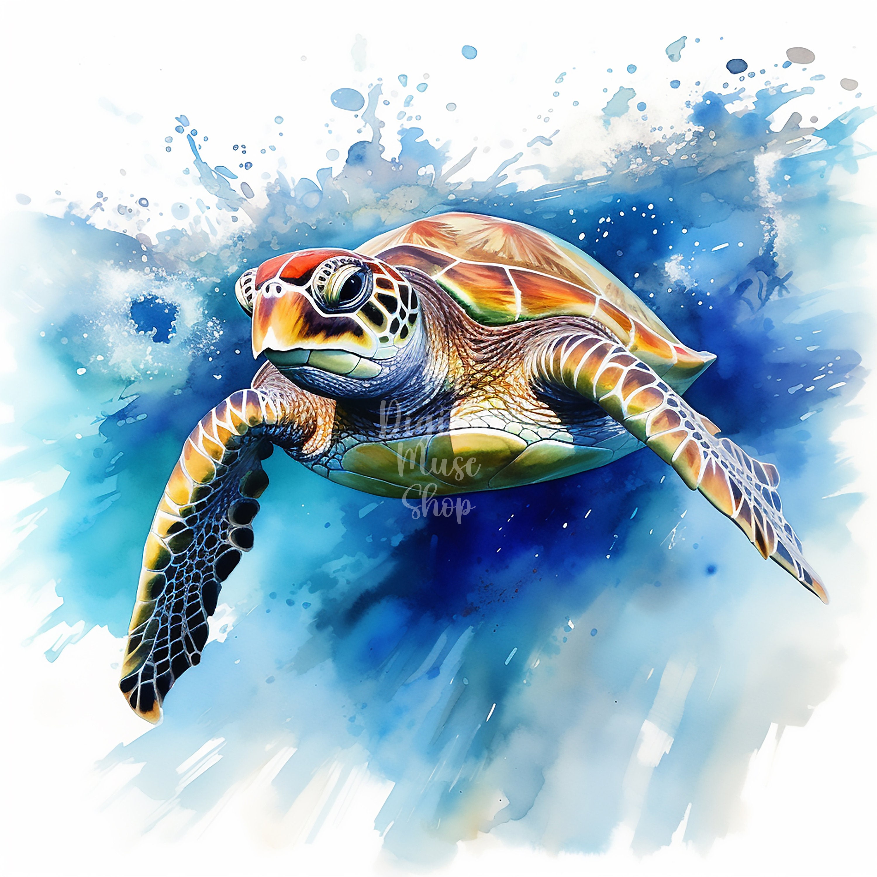 Watercolor Sea Turtle Clipart, 12 High Quality JPG, Commercial Use ...