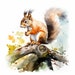 Squirrel Clipart Forest Clipart Card Making Mixed Media Digital Planner ...