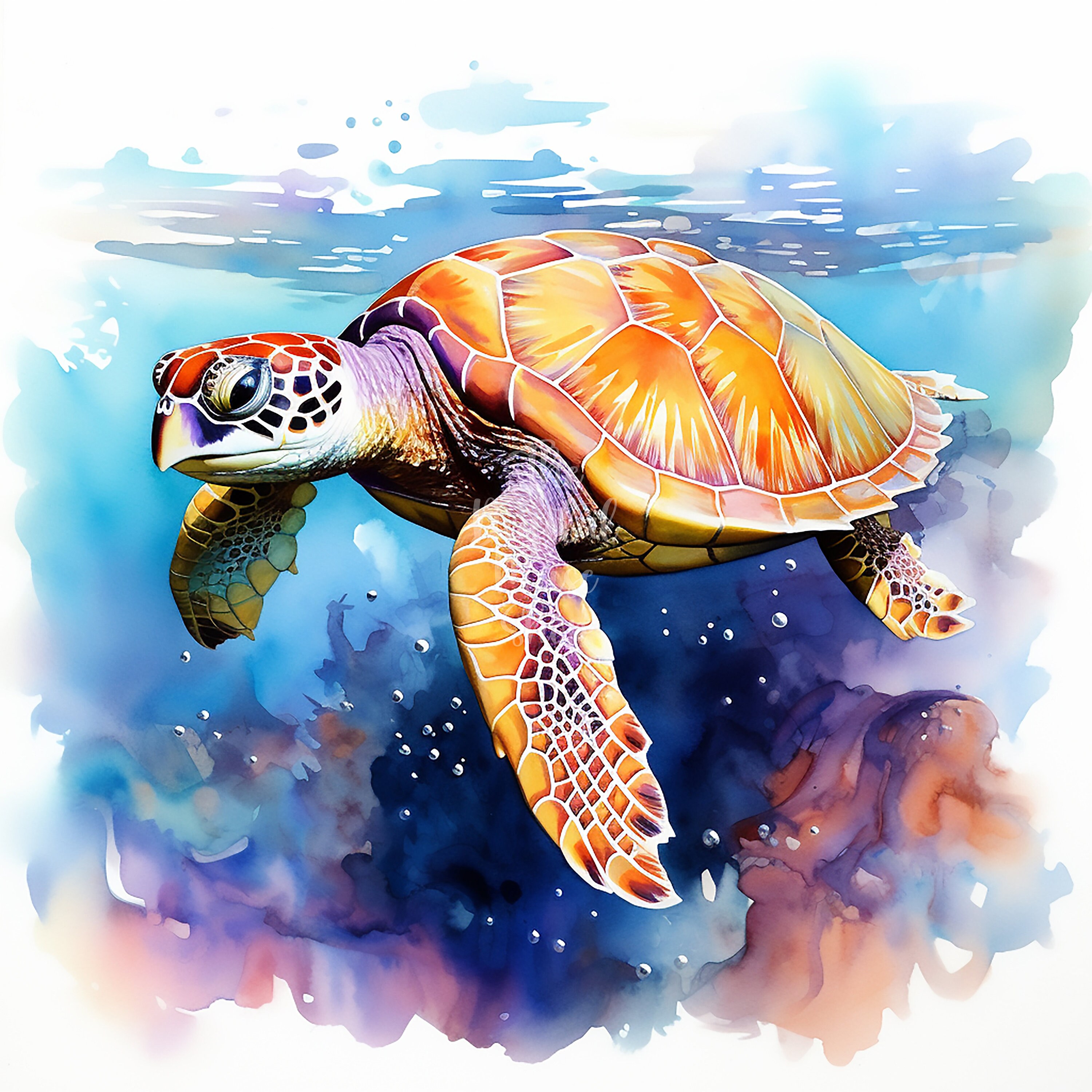 Watercolor Sea Turtle Clipart, 12 High Quality JPG, Commercial Use ...