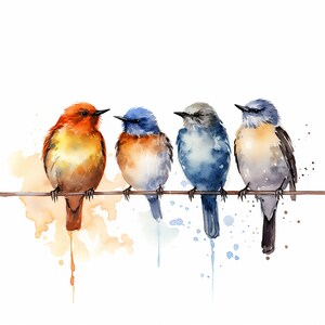 Birds on A Wire Clipart, 12 High Quality Jpgs, Watercolor Clipart, Clip ...