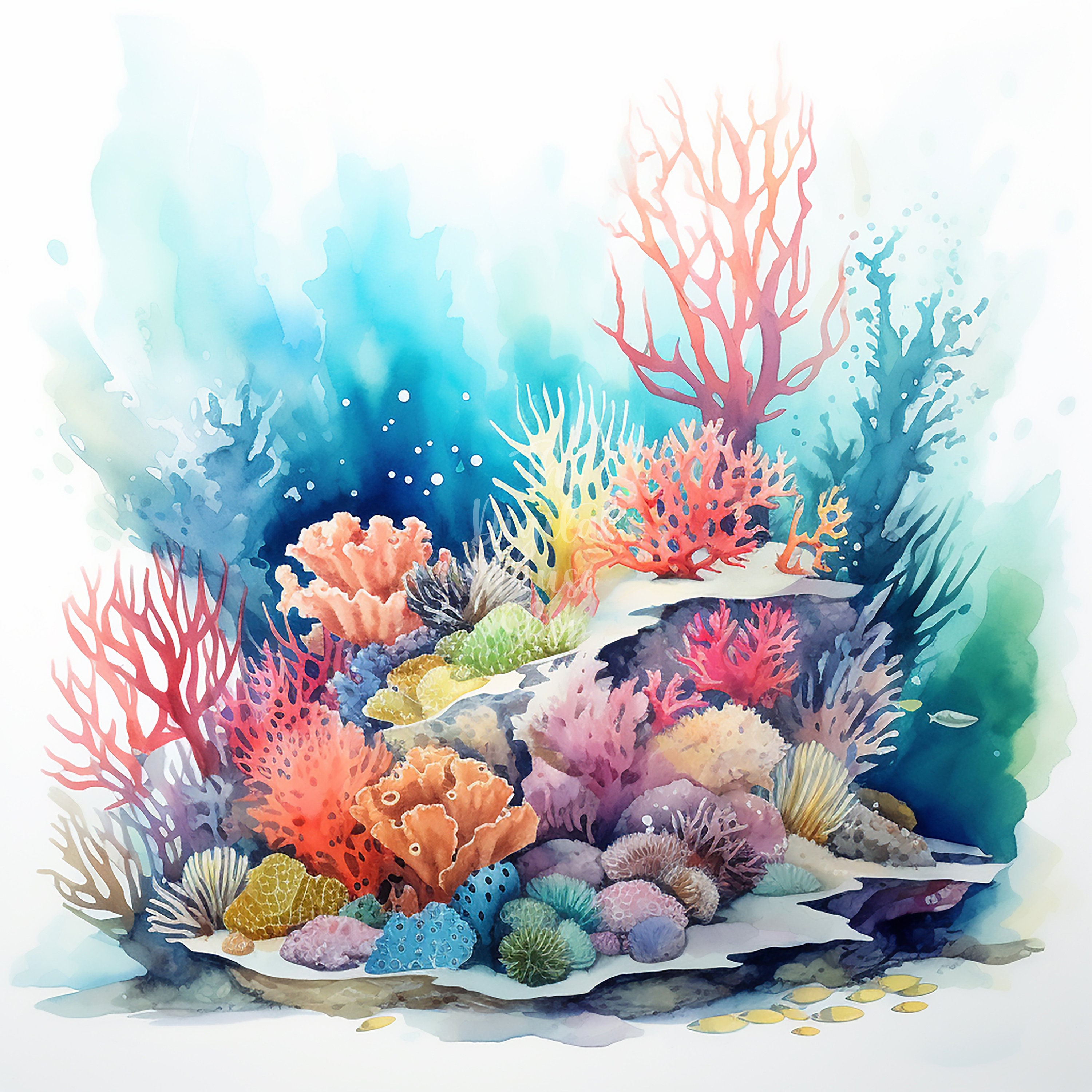 Watercolor Coral Reef Clipart, 12 High Quality Jpgs, Clip Art ...