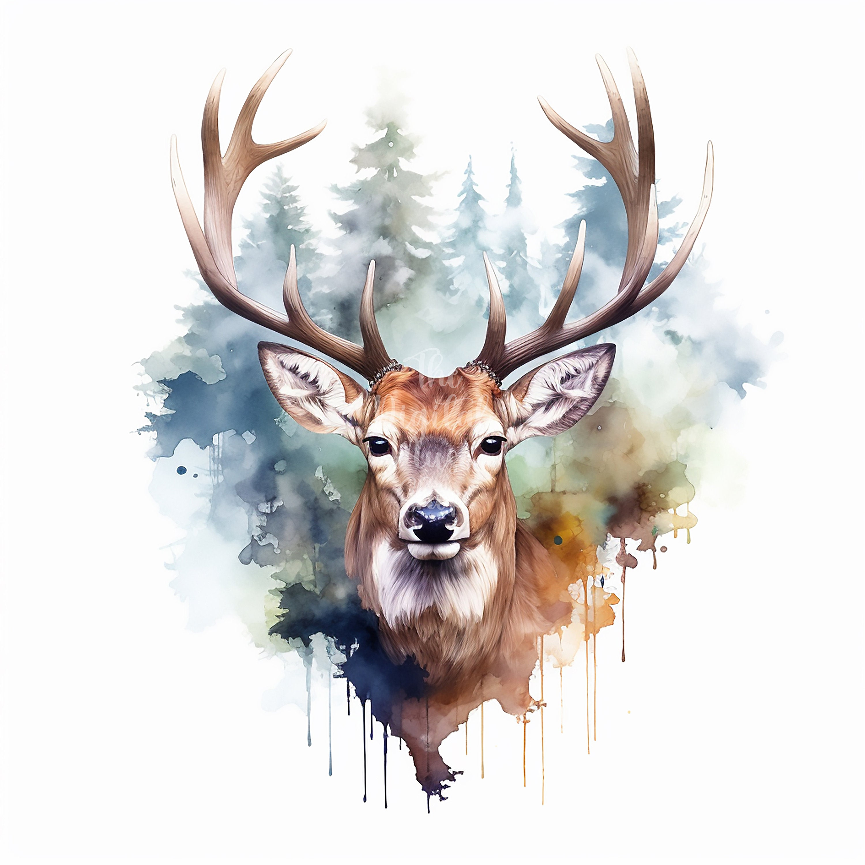 Deer and Forest Clipart, 12 High Quality Jpgs , Watercolor Clipart ...