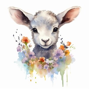 Lamb With Flowers Clipart, 10 High Quality Jpgs, Watercolor Clipart ...