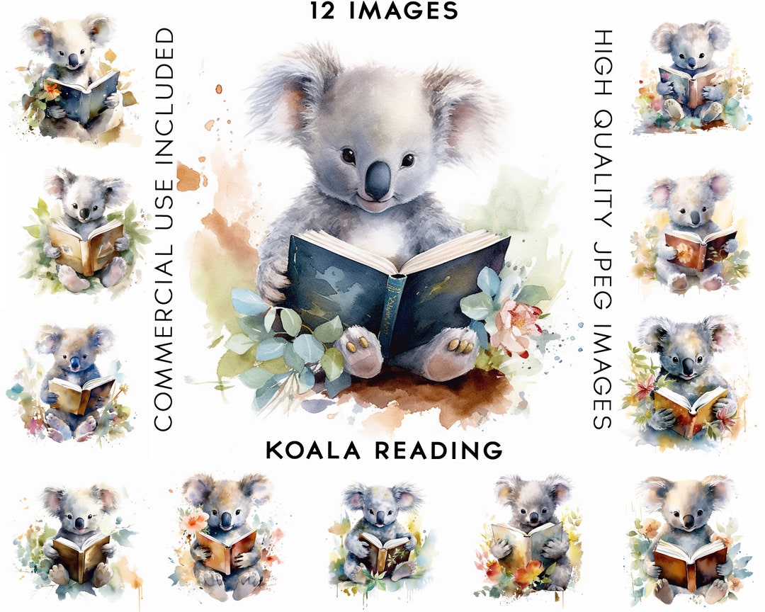 Koala Reading Clipart, 12 High Quality Jpgs , Watercolor Clipart ...
