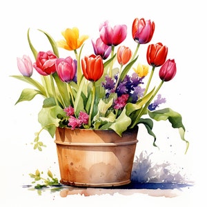 Tulip Planters Clipart, 12 High Quality Jpgs , Watercolor Clipart ...