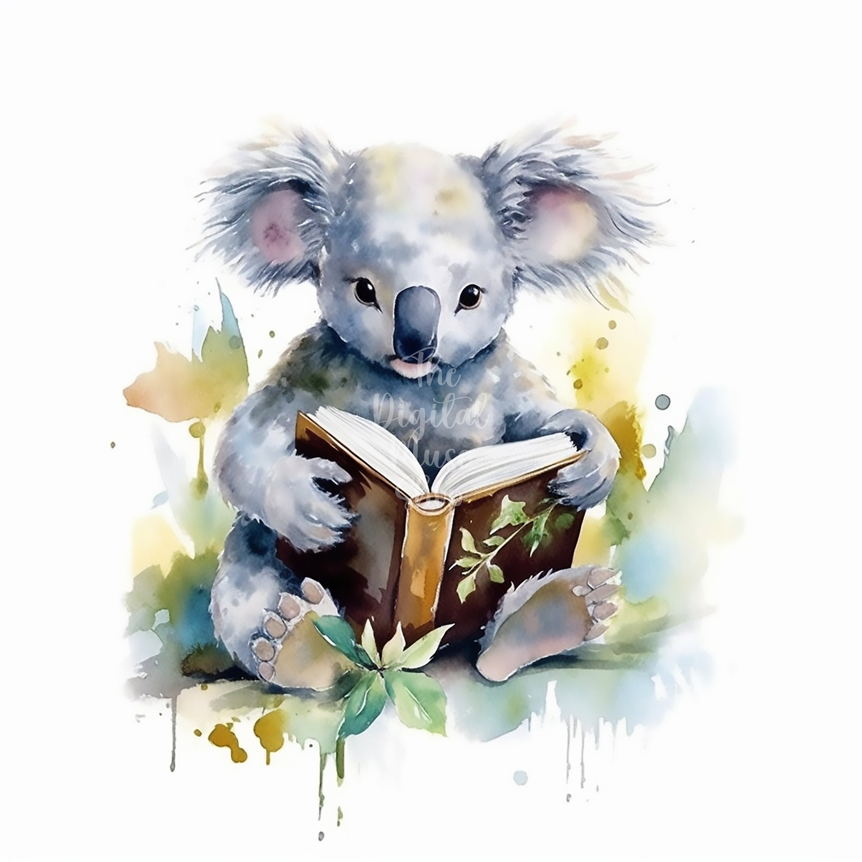 Koala Reading Clipart, 12 High Quality Jpgs , Watercolor Clipart ...