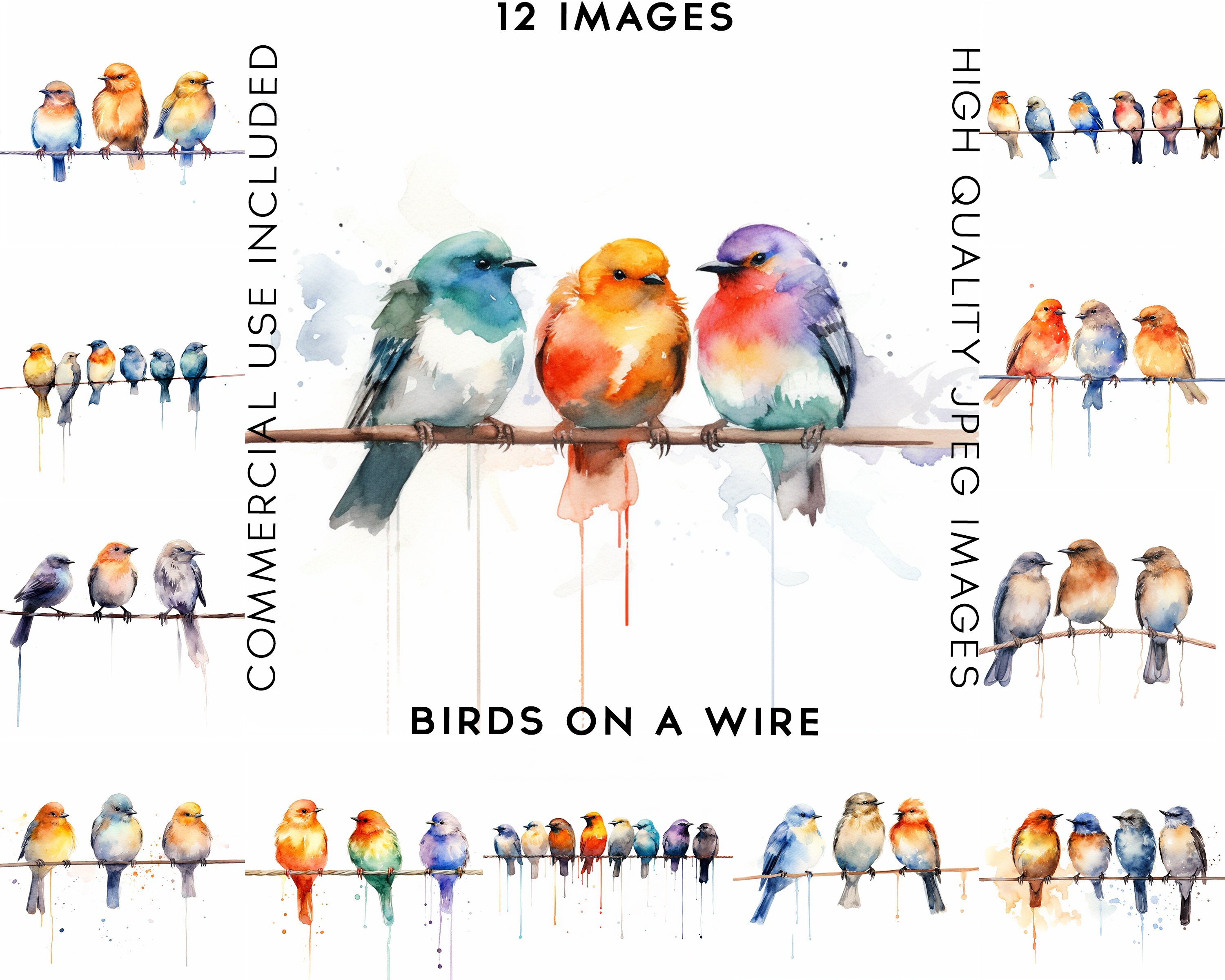 Birds on A Wire Clipart 12 High Quality Jpgs Watercolor - Etsy