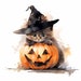 Halloween Witch Cat Clipart, 12 High Quality Jpgs, Watercolor Clipart ...